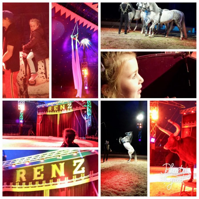 Renz International in Hoofddorp - Circusweb