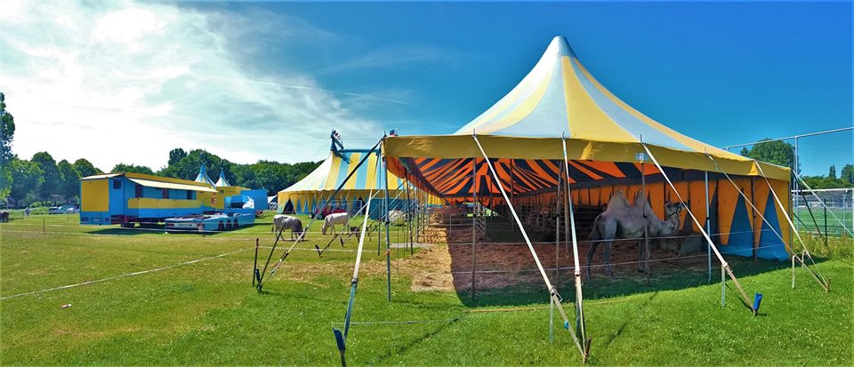 Renz International in Wassenaar - Circusweb