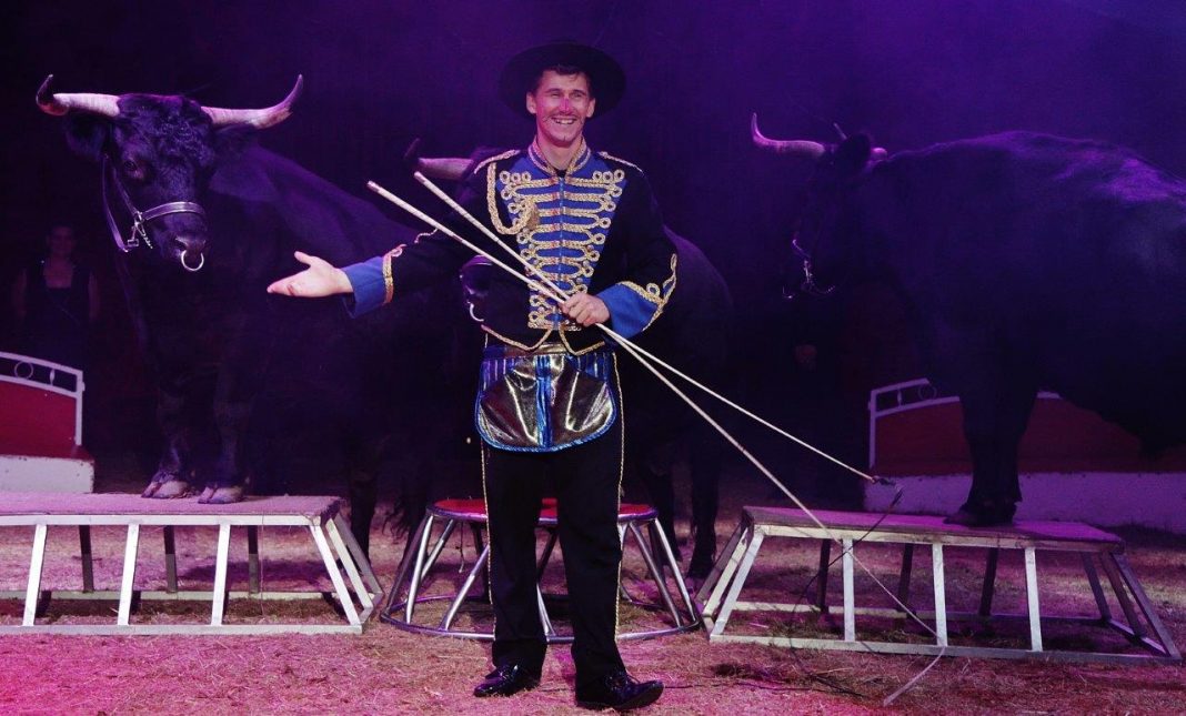 Sterk programma Circus Freiwald - Circusweb