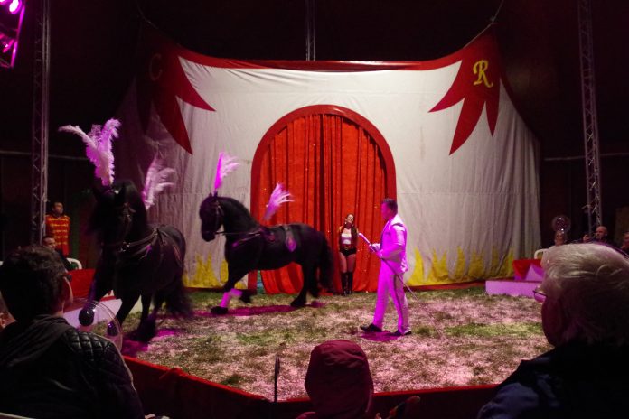 Circus Bolalou Zoetermeer - Circusweb