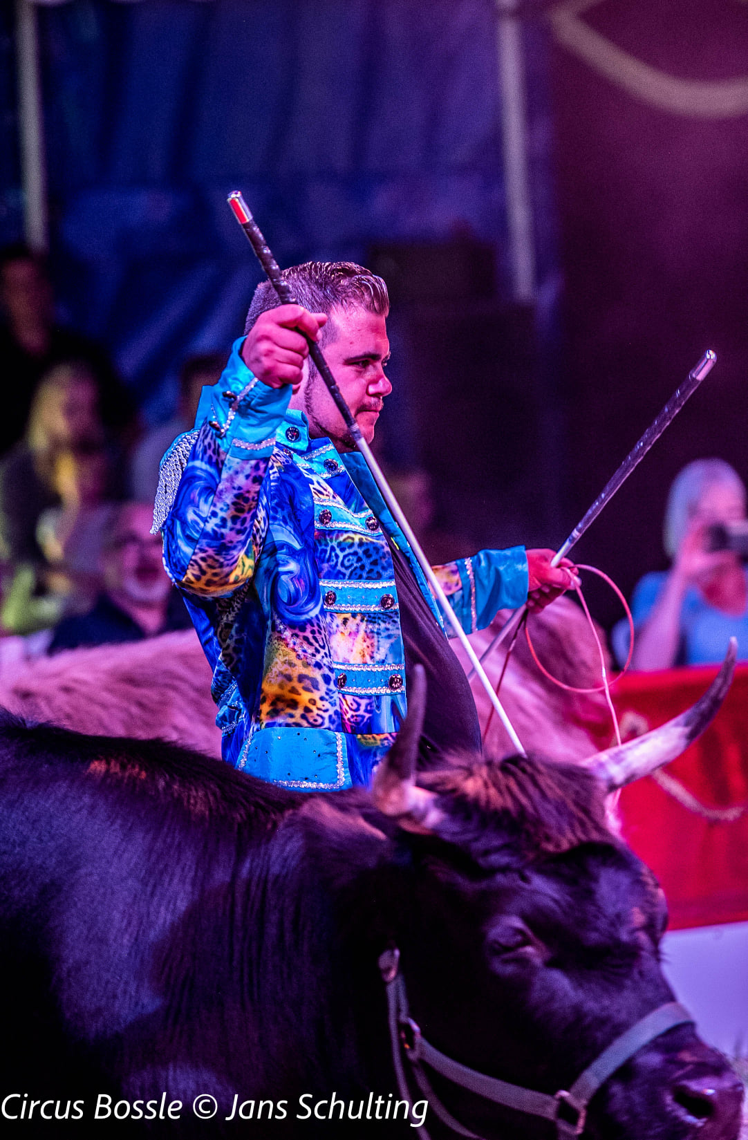 Circus Bossle deel 2 - Circusweb