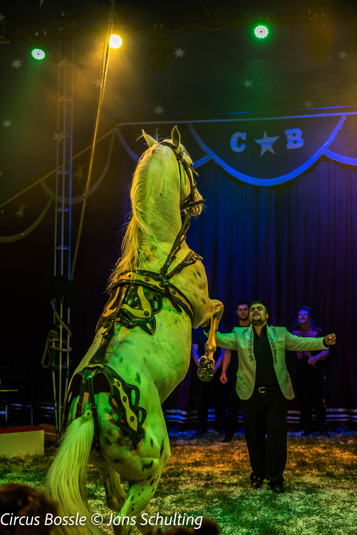 Circus Bossle deel 2 - Circusweb