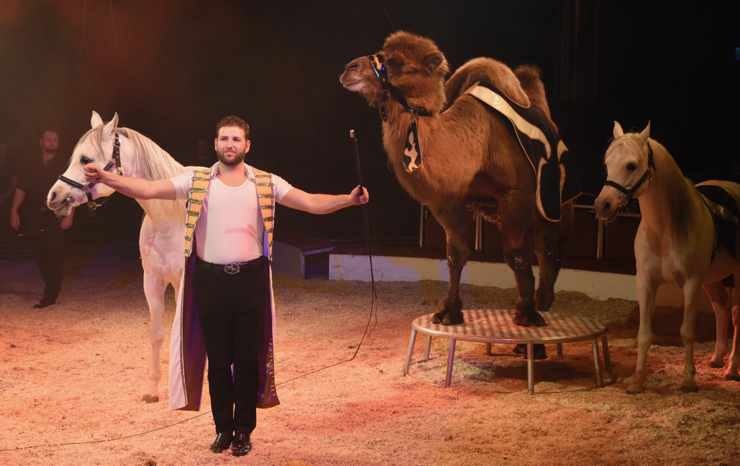 Circus Renz International 2022 - Circusweb