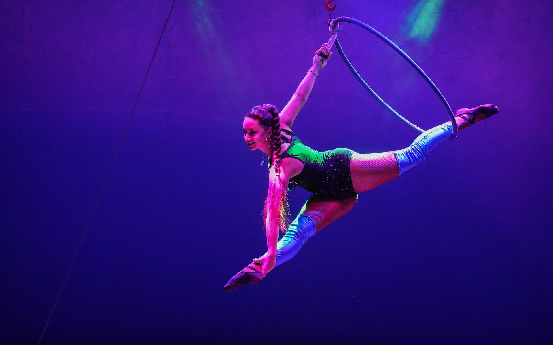 Dinotastische deal! Circus Saurus bezoekt Dinopark in voorjaarsvakantie ...