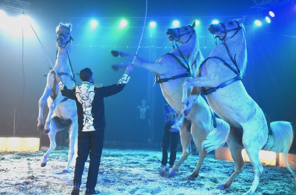 Op bezoek bij Circus Renz-Berlin - Circusweb