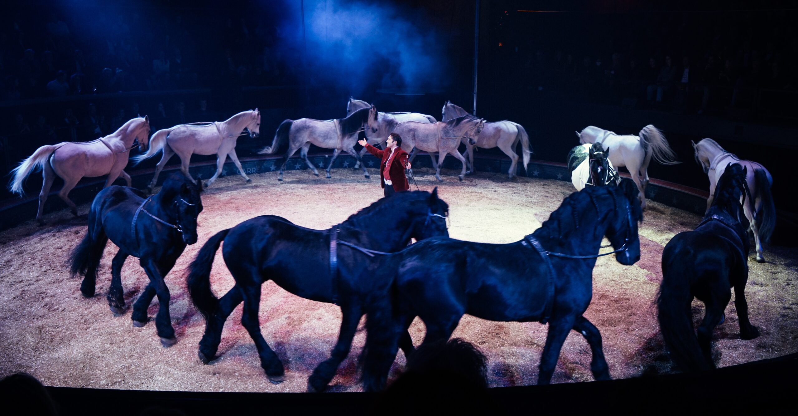 Het is Wereld Circus Dag 2024! - Circusweb.nl